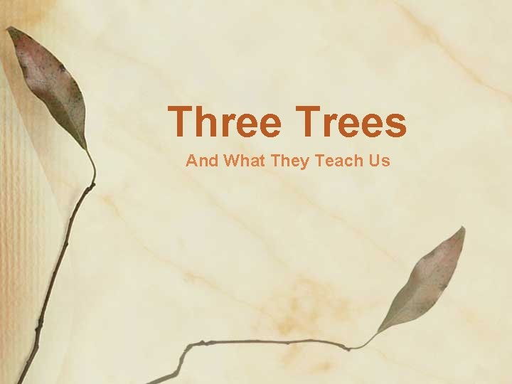 Three Trees And What They Teach Us Tree