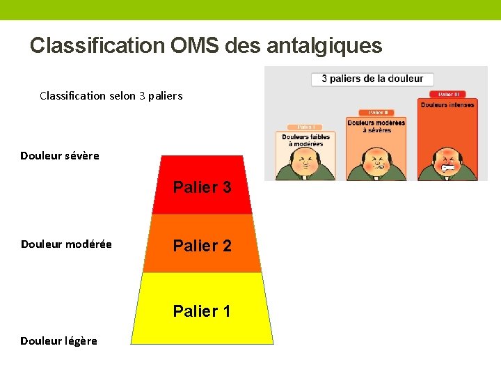 Audit Prise en charge de la douleur dans