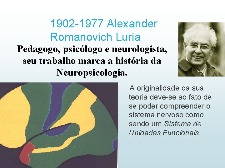 Histria do estudo do crebro Neuropsicologia e Educao