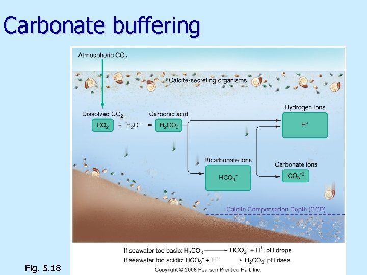 CHAPTER 5 Water and Seawater H 2 O