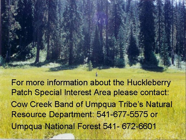 Huckleberry Patch Special Interest Area On the Umpqua