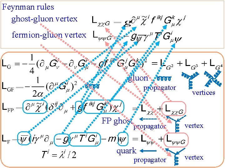 fermion Lagrangian Feynman rules gluon propagator FP ghost