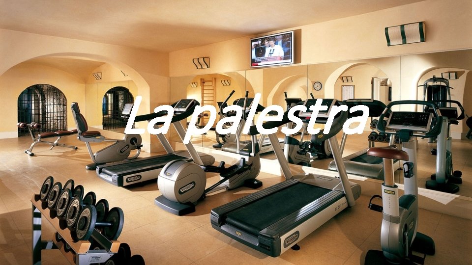 La palestra Introduzionestoria La palestra un luogo attrezzato