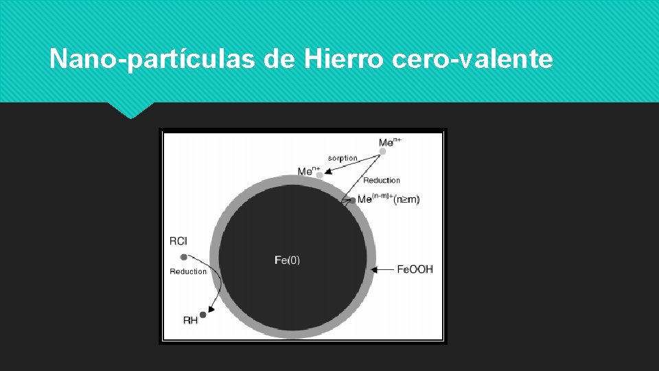 Diseo de un reactor para la obtencin de