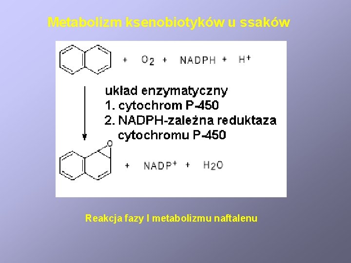 Metabolizm ksenobiotykw Metabolizm ksenobiotykw Ksenobiotyki ...