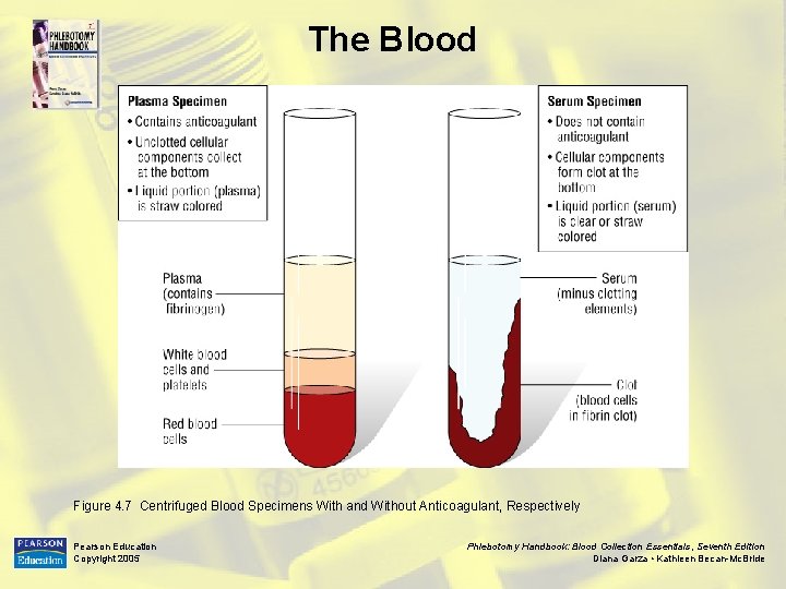 Phlebotomy Handbook Blood Collection Essentials Seventh Edition Diana