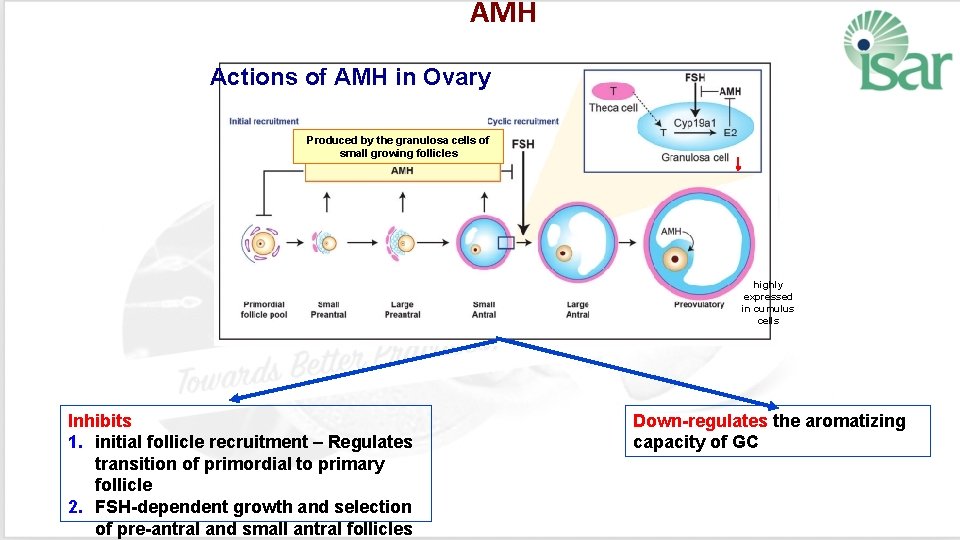 Recent advances in Infertility Diagnostic Modalities SIG Endocrinology