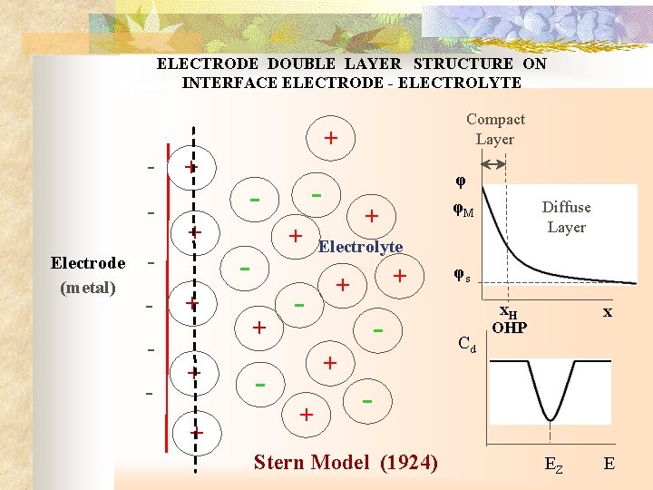 BASIC PRINCIPLES OF ELECTRODE PROCESSES Heterogeneous kinetics I