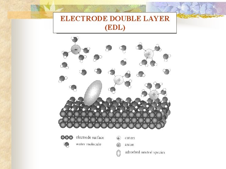 BASIC PRINCIPLES OF ELECTRODE PROCESSES Heterogeneous kinetics I