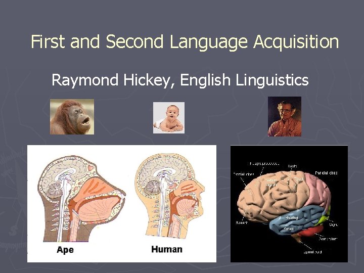 First and Second Language Acquisition Raymond Hickey English