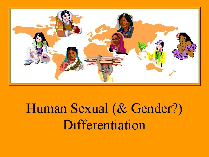 Human Sexual Gender Differentiation All mammals including humans