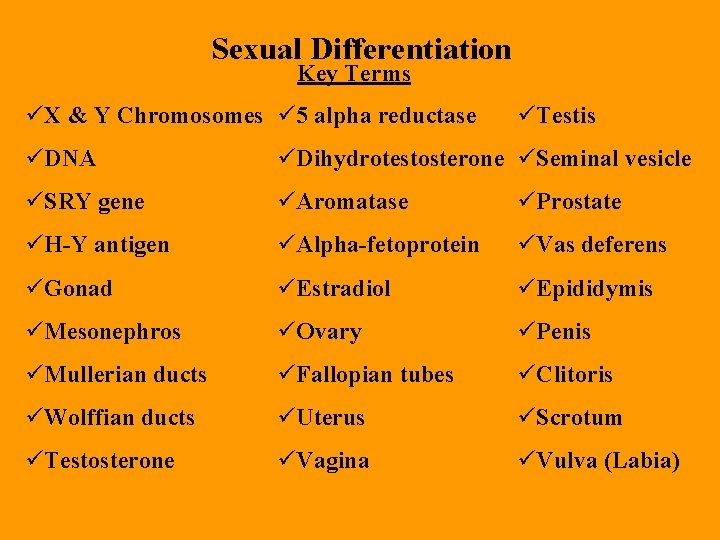 Human Sexual Gender Differentiation All mammals including humans