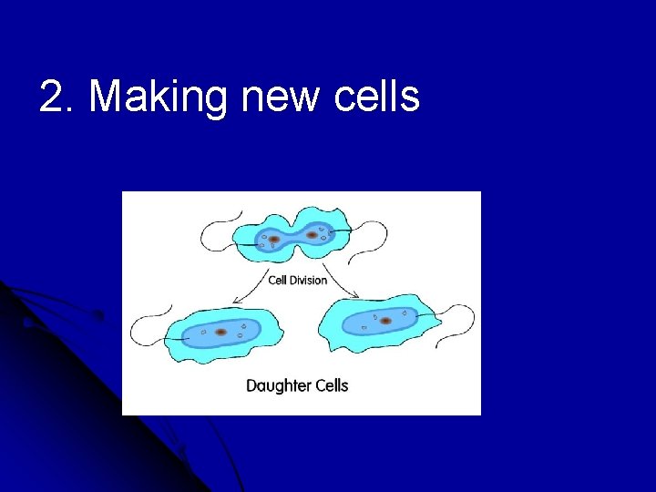 Characteristics of Life Opening Questions 1 How many