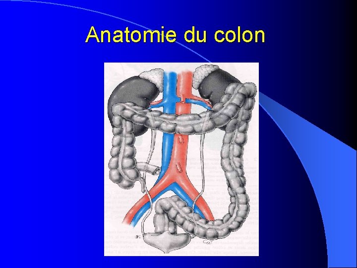 Pathologies chirurgicales du Colon et du Rectum Davide