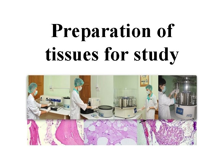 Preparation of tissues for study v HISTOLOGY It