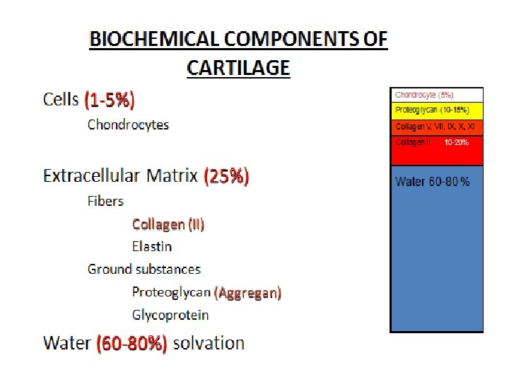 BIOCHEMISTRY OF CARTILAGE DEFINITION Specialized form of connective