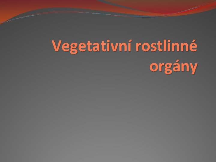 Vegetativn rostlinn orgny Stonek funkce nese ostatn orgny