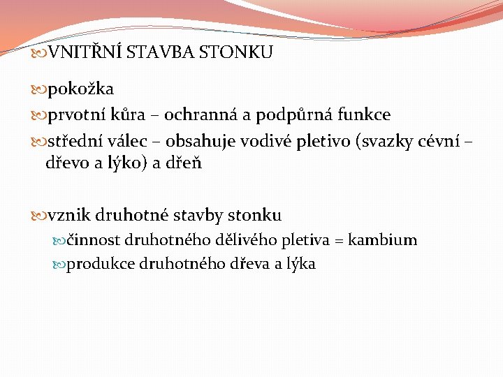 Vegetativn rostlinn orgny Stonek funkce nese ostatn orgny