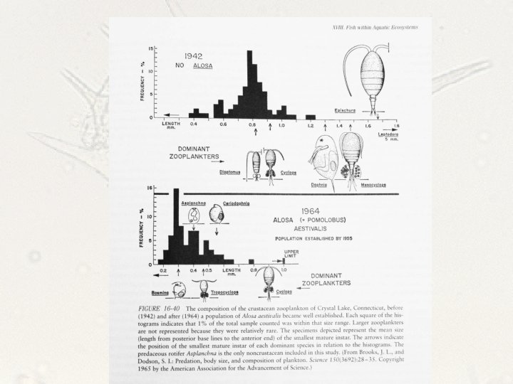 POPULATION DYNAMICS AND COMMUNITY ECOLOGY OF ZOOPLANKTON Range