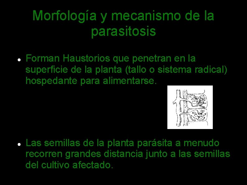 CAPTULO 6 ORGANISMOS PATGENOS PARA LAS PLANTAS Virus