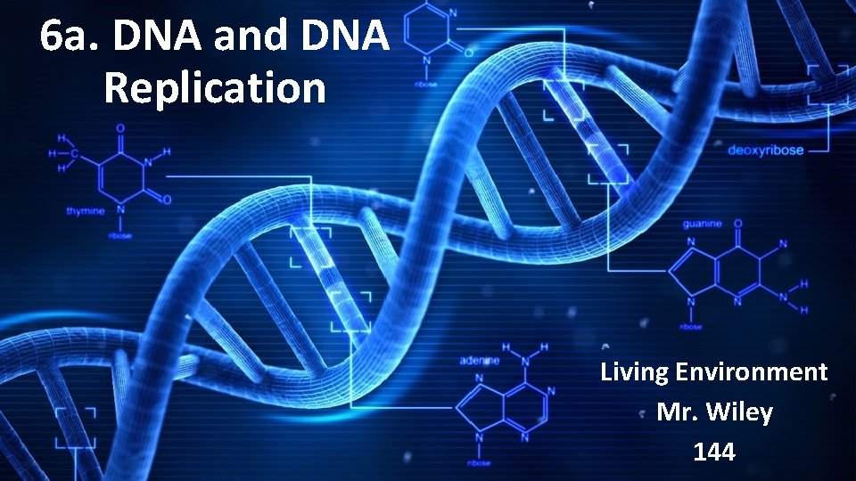 6 a DNA and DNA Replication Living Environment