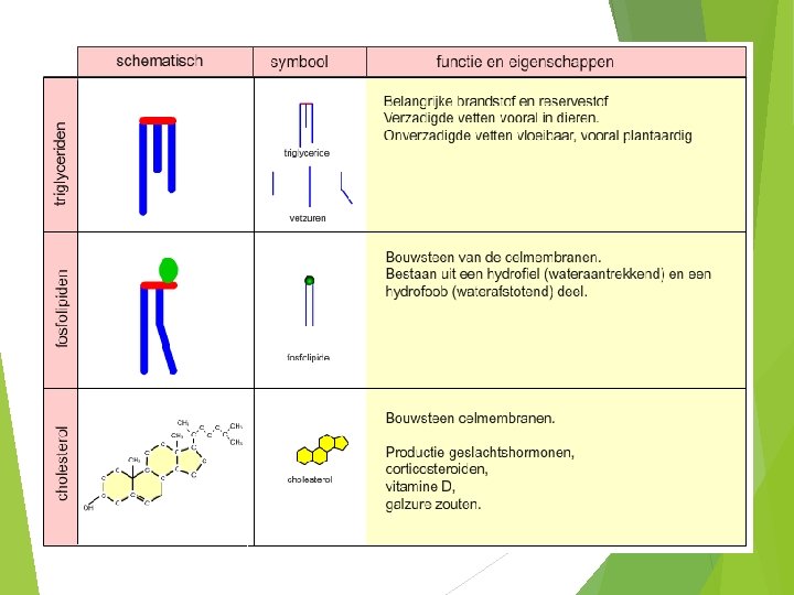 VETTEN Koolhydraten Waaruit zijn koolhydraten opgebouwd Welke drie