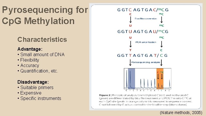 Genespecific Methylation Analyses Fade Gong Nam Nguyen Introduction
