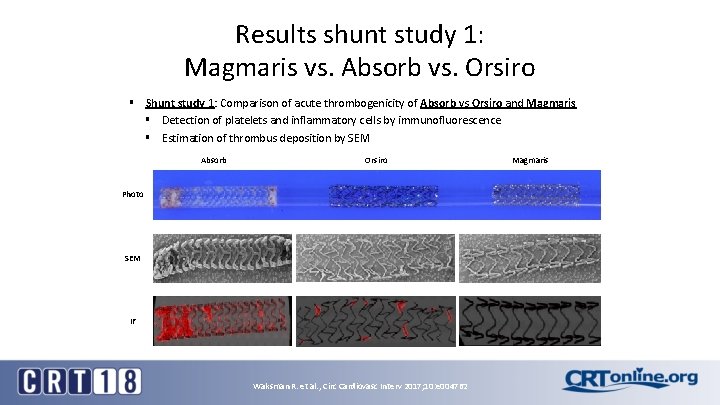 Magmaris Review of the Technology and its Clinical