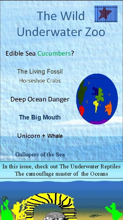 The Wild Underwater Zoo Edible Sea Cucumbers The