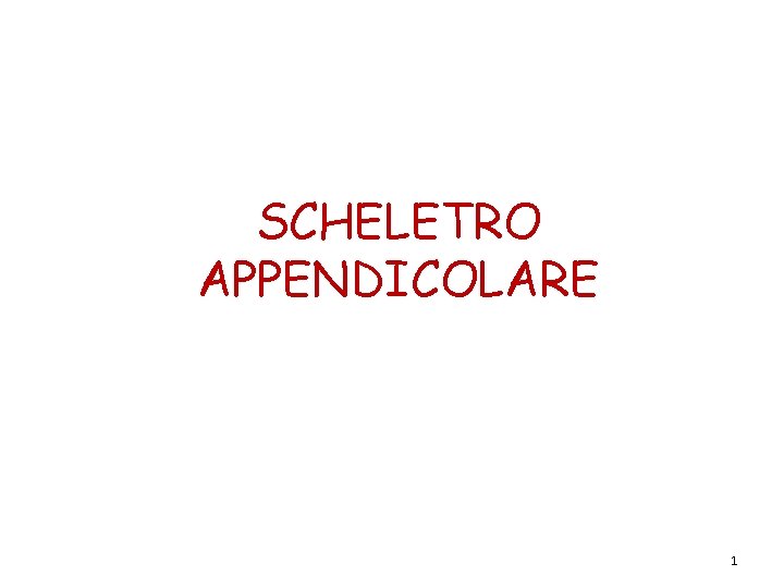 SCHELETRO APPENDICOLARE 1 Scheletro appendicolare Comprende le ossa