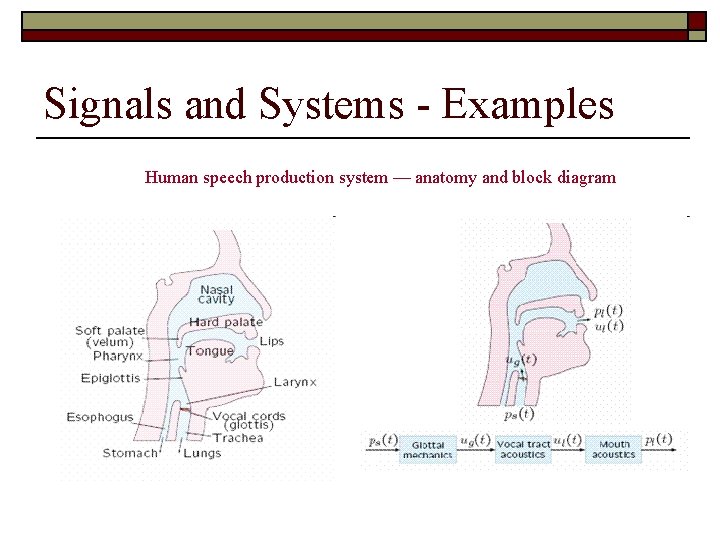 Introduction Chapter 1 Signals o A signal is