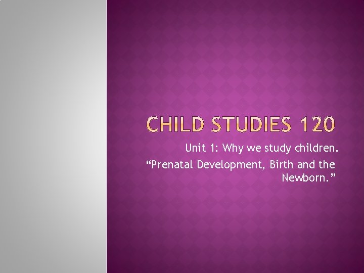 Unit 1 Why we study children Prenatal Development