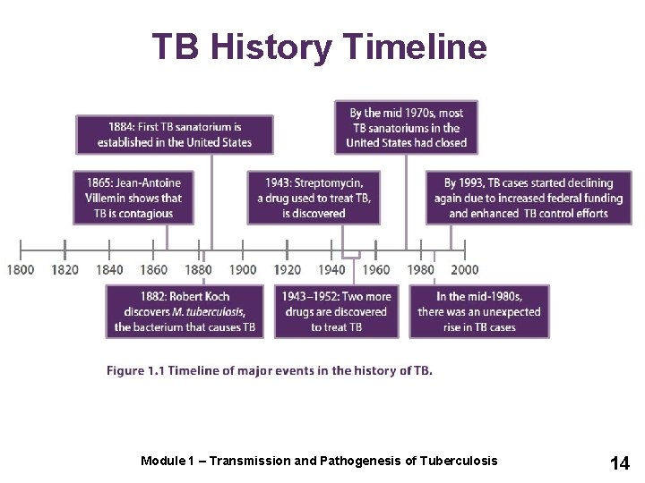 SelfStudy Modules on Tuberculosis 1 5 Centers for