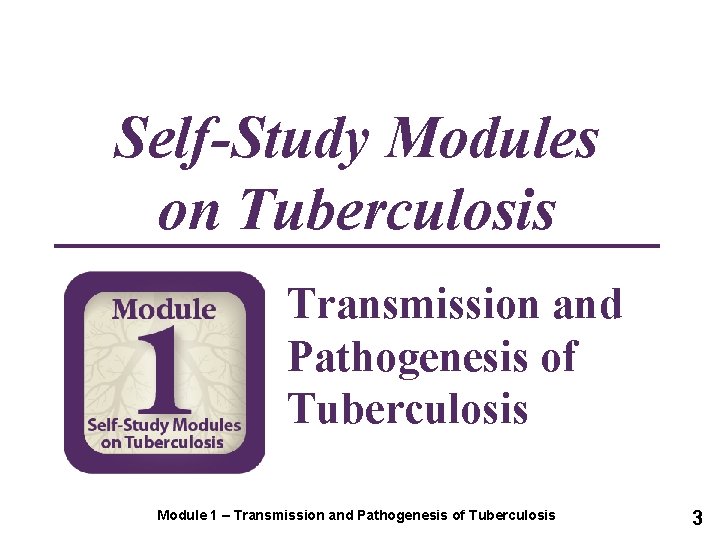 SelfStudy Modules on Tuberculosis 1 5 Centers for