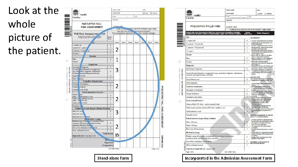 NSW Paediatric Fall Risk Assessment Clinical Excellence Commission