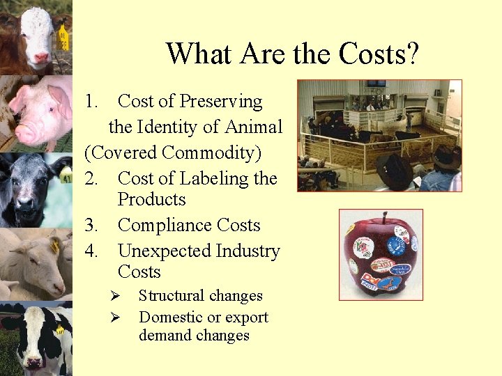 The National Animal Identification System and CountryofOrigin Labeling