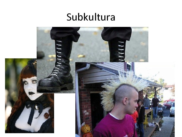 Kultura kontrakultura subkultura Sociologija 4 razredi Subkultura je