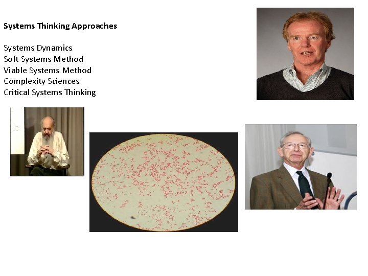 Systems Thinking And Sdgs Neil Mc Bride What