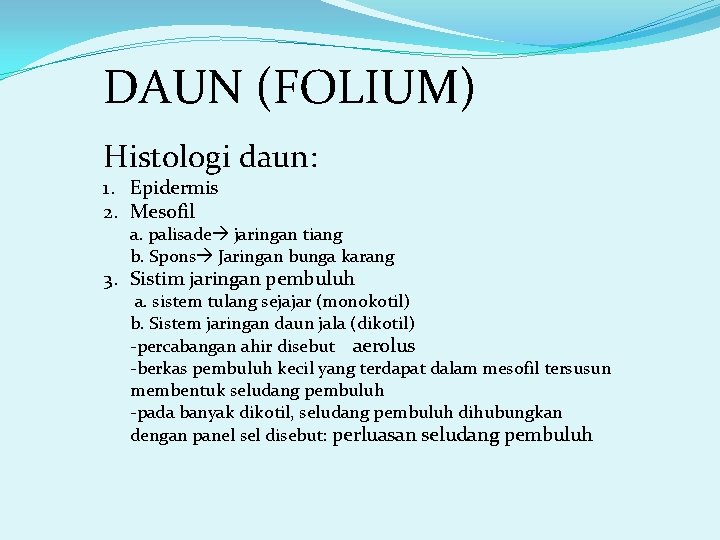 DAUN FOLIUM Histologi daun 1 Epidermis 2 Mesofil