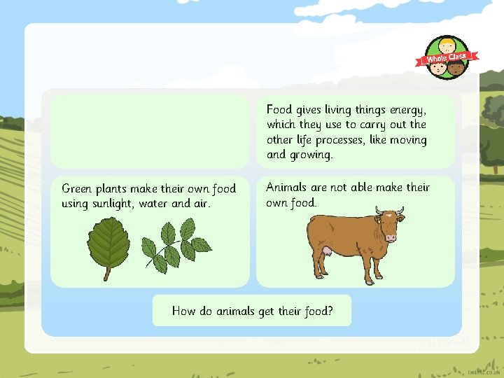 Living Things and Their Habitats Year One I