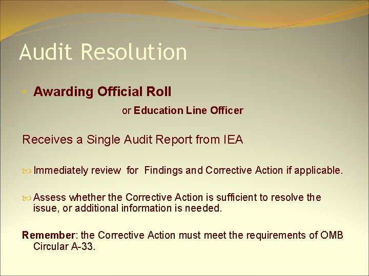 Single Audit Rehab What is Audit Resolution The