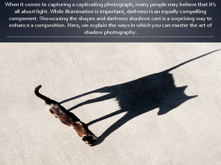 When it comes to capturing a captivating photograph