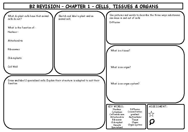 B 2 REVISION CHAPTER 1 CELLS TISSUES ORGANS