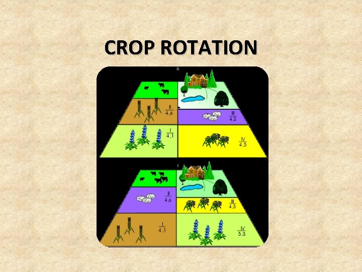 ECONOMIC REVOLUTIONS Changes in Agriculture and Industry Created