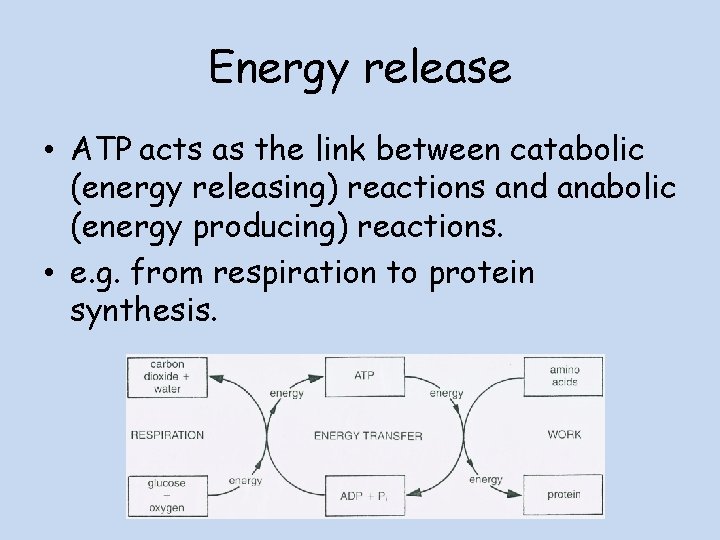 Higher Biology Unit 2 2 2 Cellular Respiration