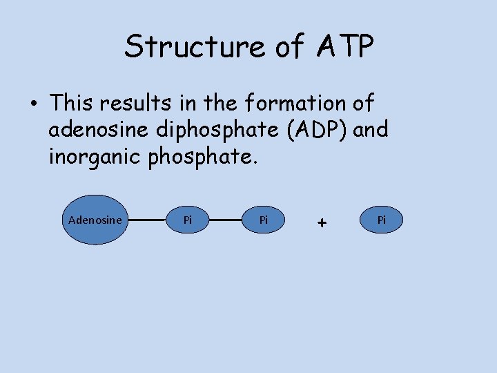 Higher Biology Unit 2 2 2 Cellular Respiration
