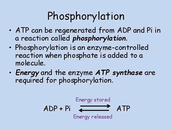 Higher Biology Unit 2 2 2 Cellular Respiration