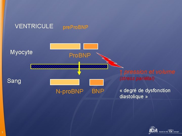 Place du dosage du BNP dans la prise