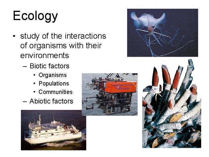 Ecology study of the interactions of organisms with