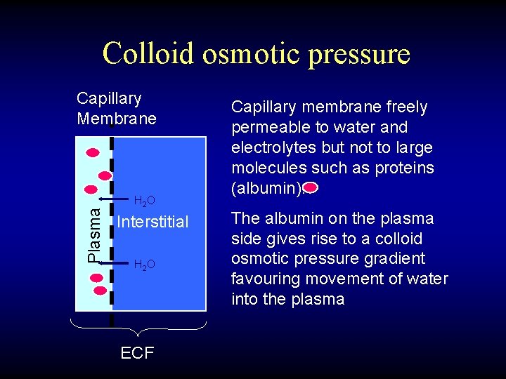 Free Powerpoint Templates Page 1 Fluid and electrolytes